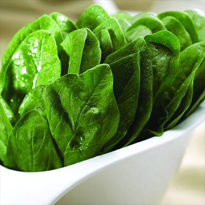 Red&Green Dehydrated Spinach Powder Wholesale - RealclearBio