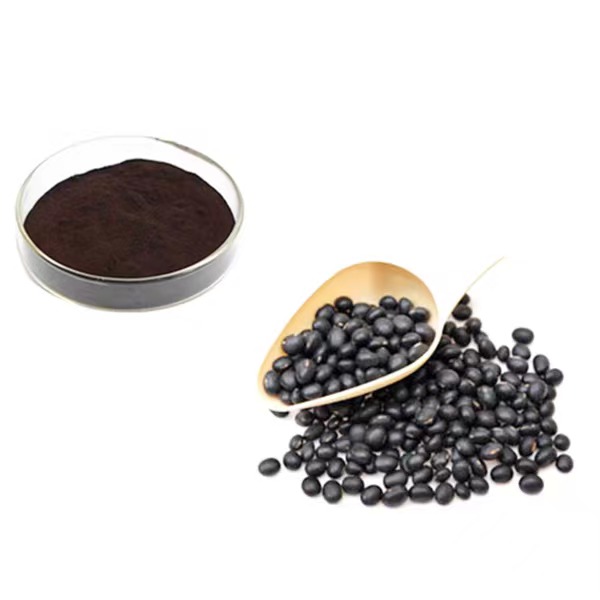 Black Bean Sauce Powder for Sale - RealclearBio