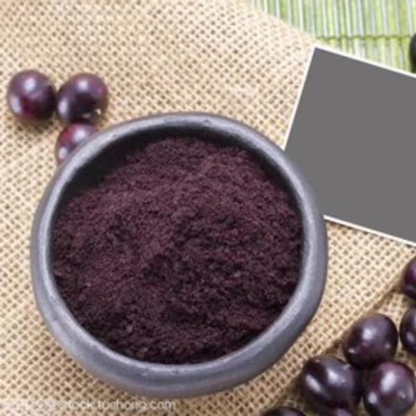 Acai Berry Freeze Dried Powder - RealclearBio