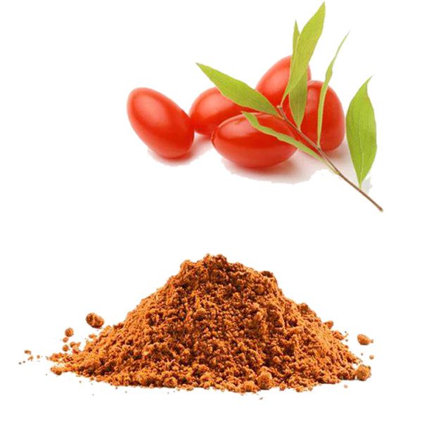 Goji Berry Extract Powder Supplier Wholesale - RealclearBio